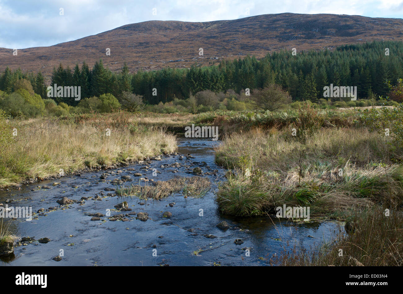Galloway Forest Park, Scotland Stock Photo - Alamy