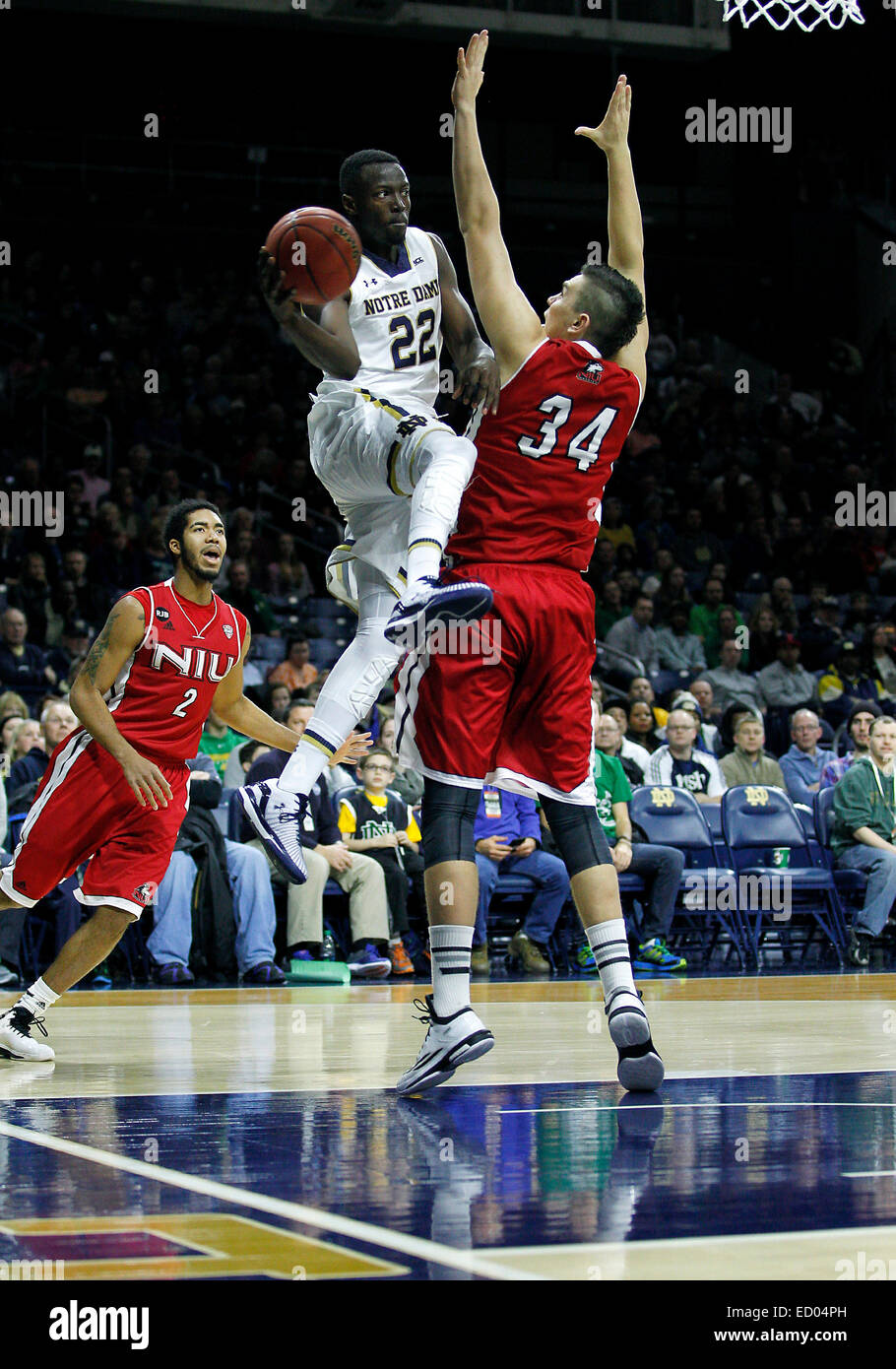 Marin maric hi-res stock photography and images - Alamy