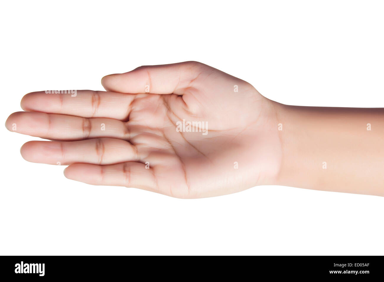 1 child Boy hand palm part of Stock Photo - Alamy