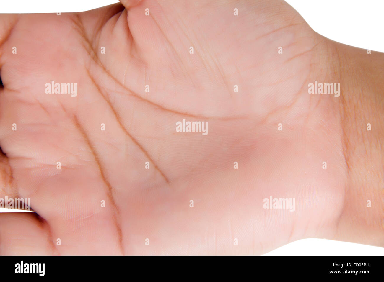 1 child Boy hand palm part of Stock Photo - Alamy