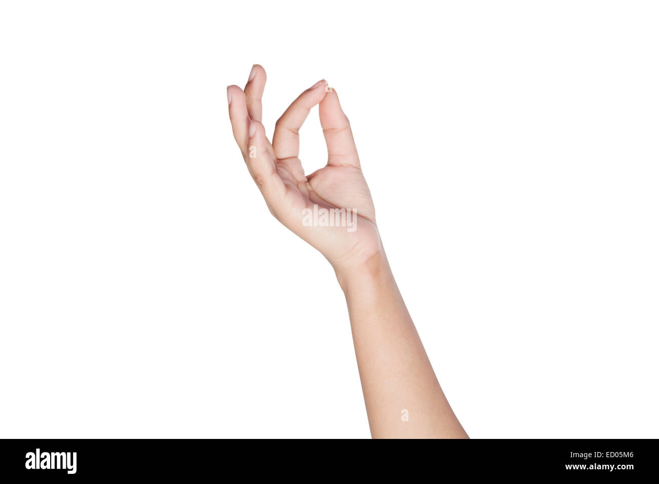1 lady hand finger part of Stock Photo - Alamy