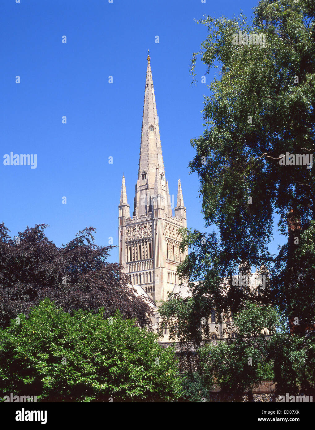 Norwich Cathedral, Norwich, Norfolk, England, United Kingdom Stock ...