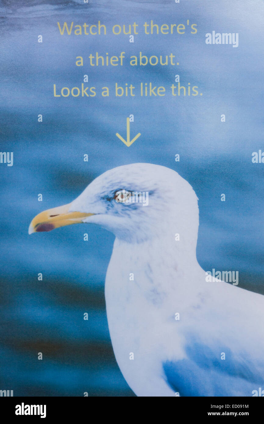 England, Yorkshire, Whitby, Seagull Warning Sign Stock Photo - Alamy
