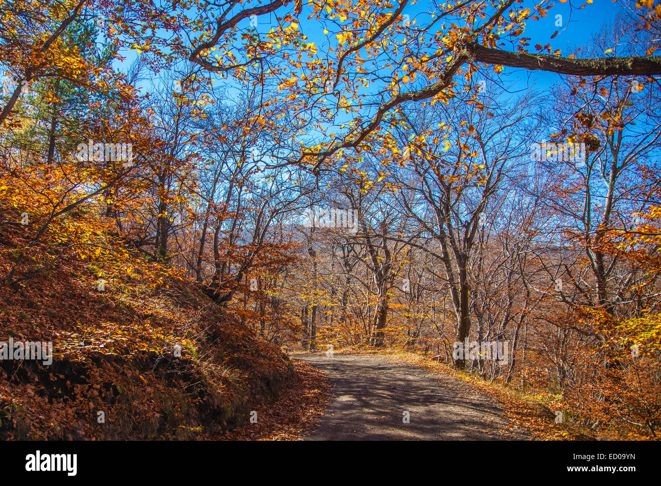 Natural, late autumn landscape in the mountain Stock Photo - Alamy
