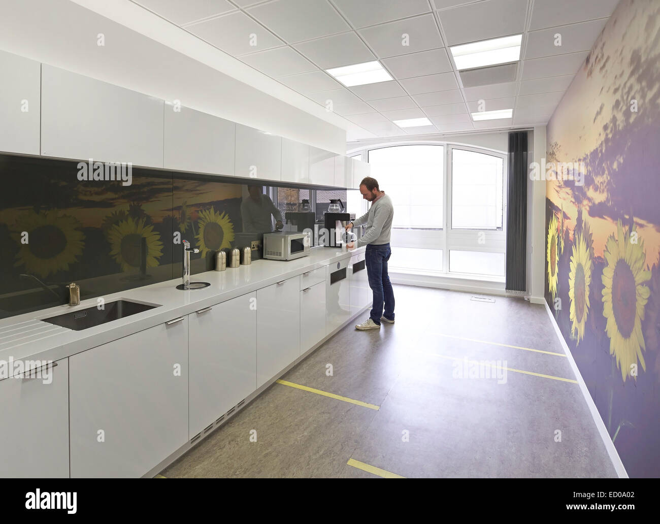 Kitchenette wall graphics communal kitchen cafe kitchen adult scale hi ...