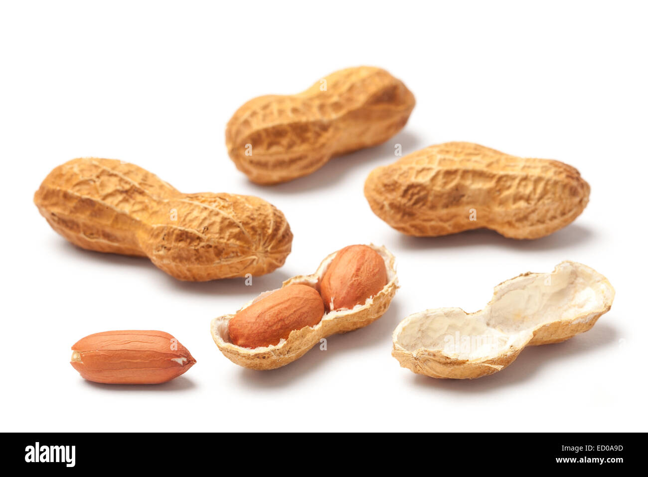 Several raw peanuts isolated on white background Stock Photo - Alamy
