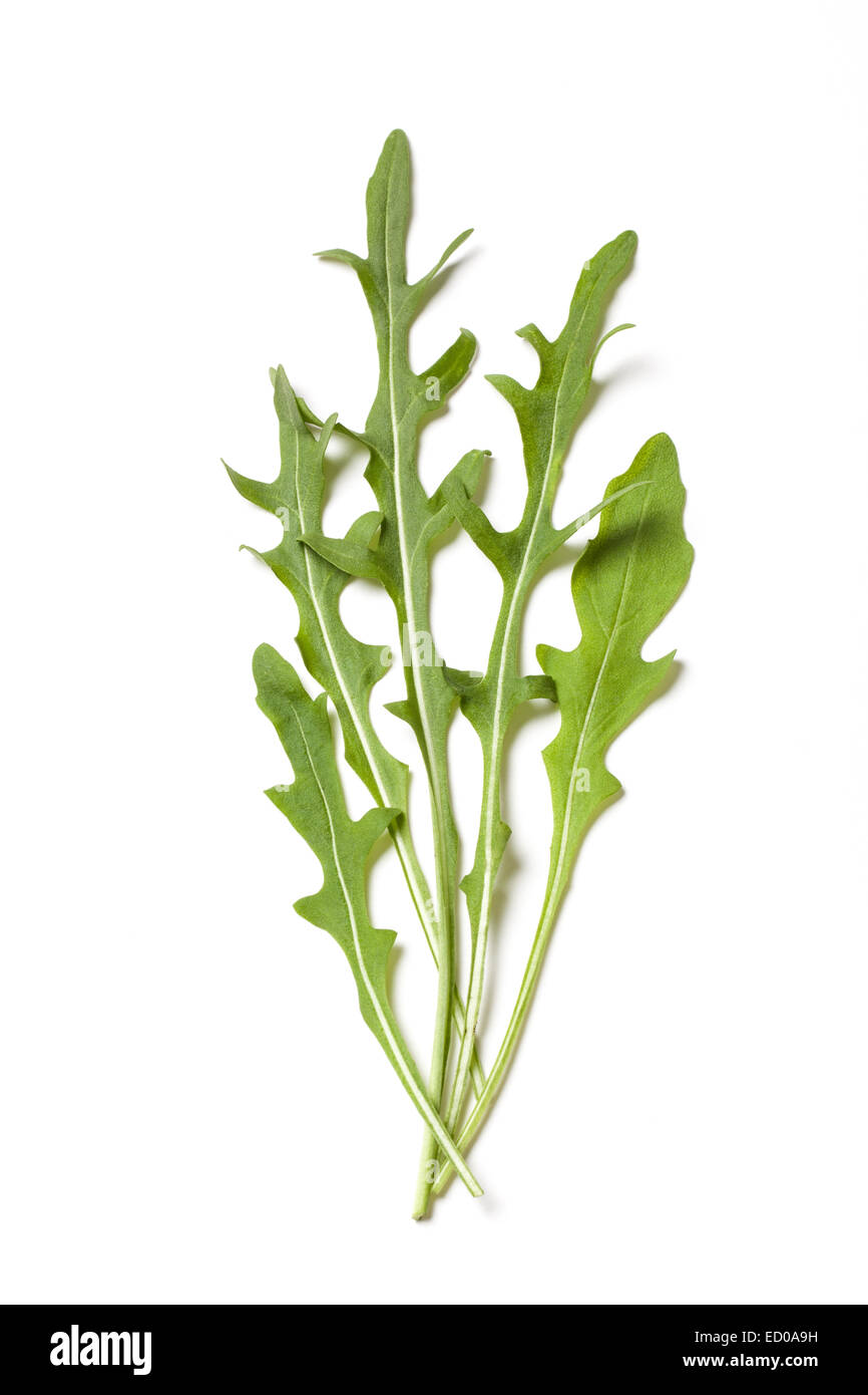 Image of fresh rucola isolated on white background Stock Photo - Alamy