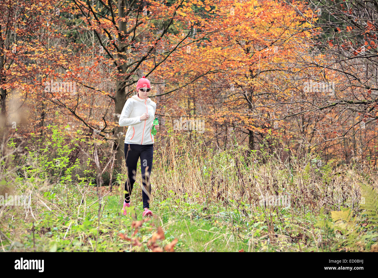 woman running through the forest by the lake Stock Photo - Alamy