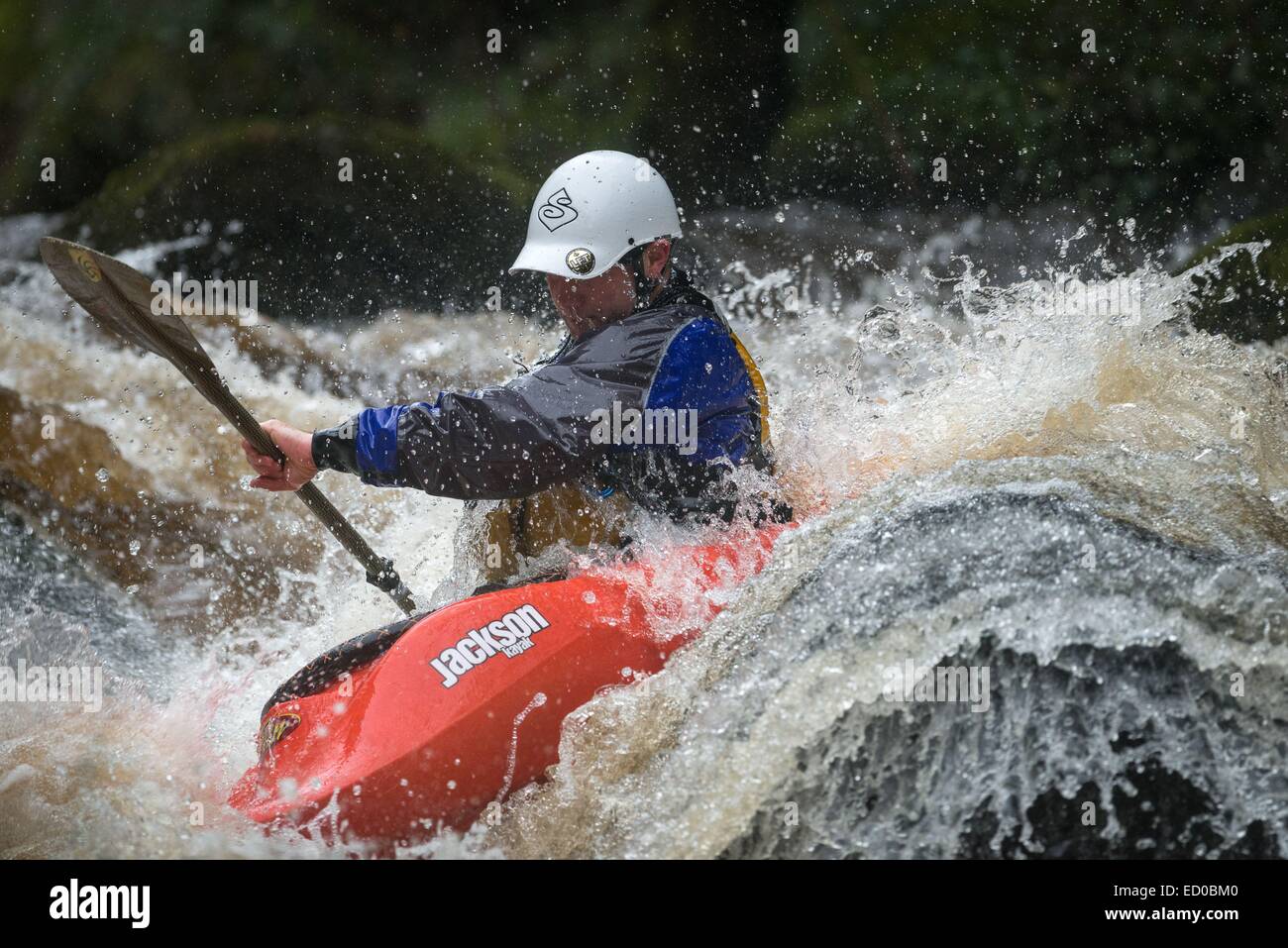 Elle france hi-res stock photography and images - Alamy