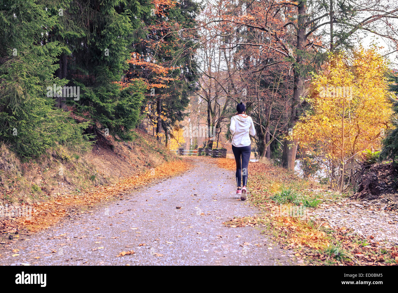 woman running through the forest by the lake Stock Photo - Alamy