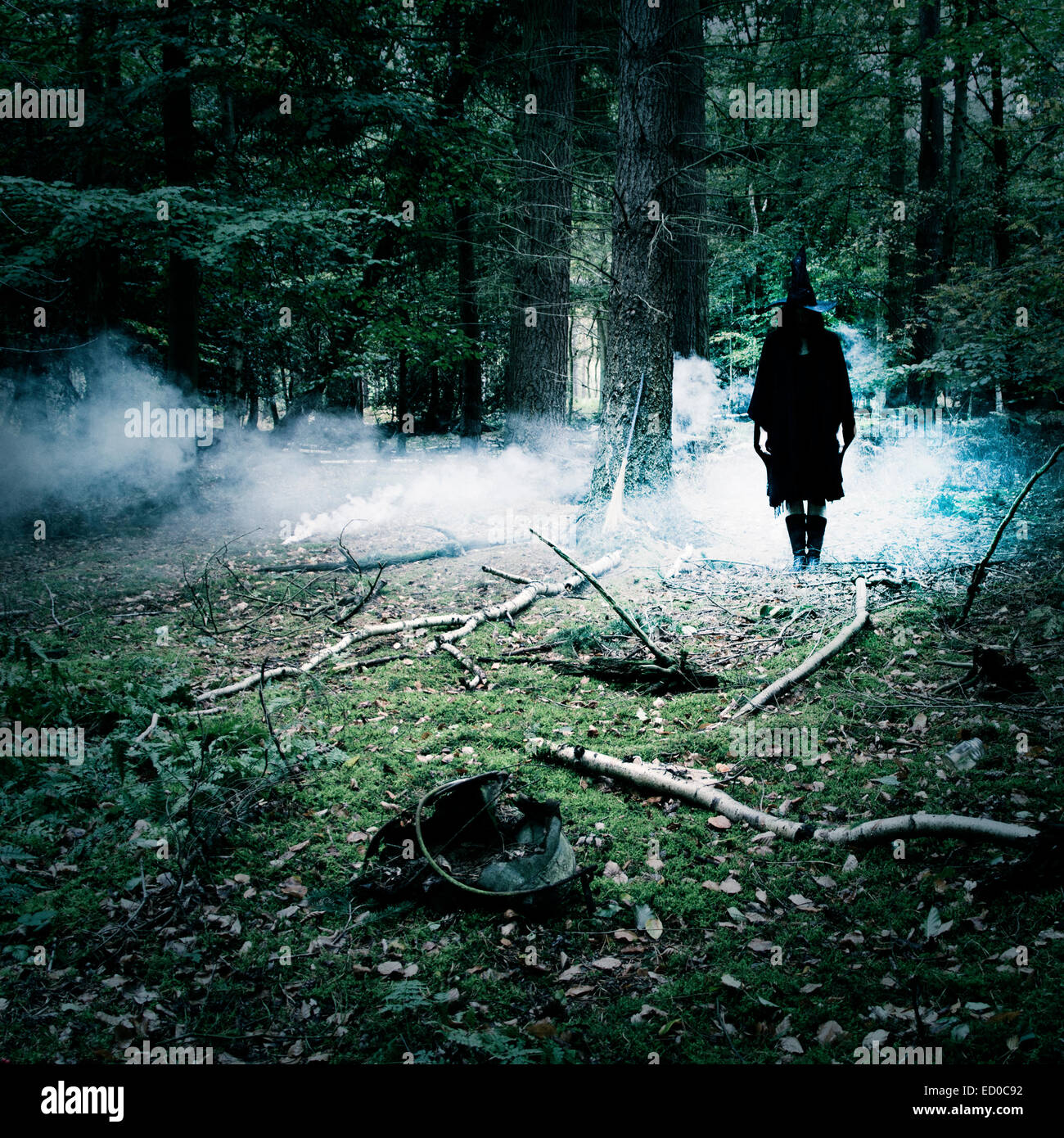 Witch in forest Stock Photo - Alamy