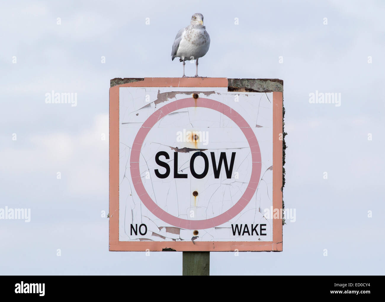 No wake sign hi-res stock photography and images - Alamy
