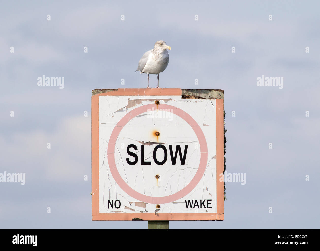 No wake sign hi-res stock photography and images - Alamy