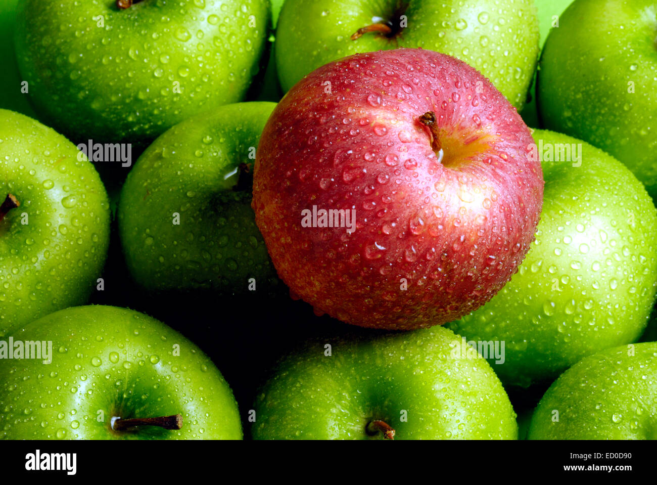red apple among green apples Stock Photo - Alamy