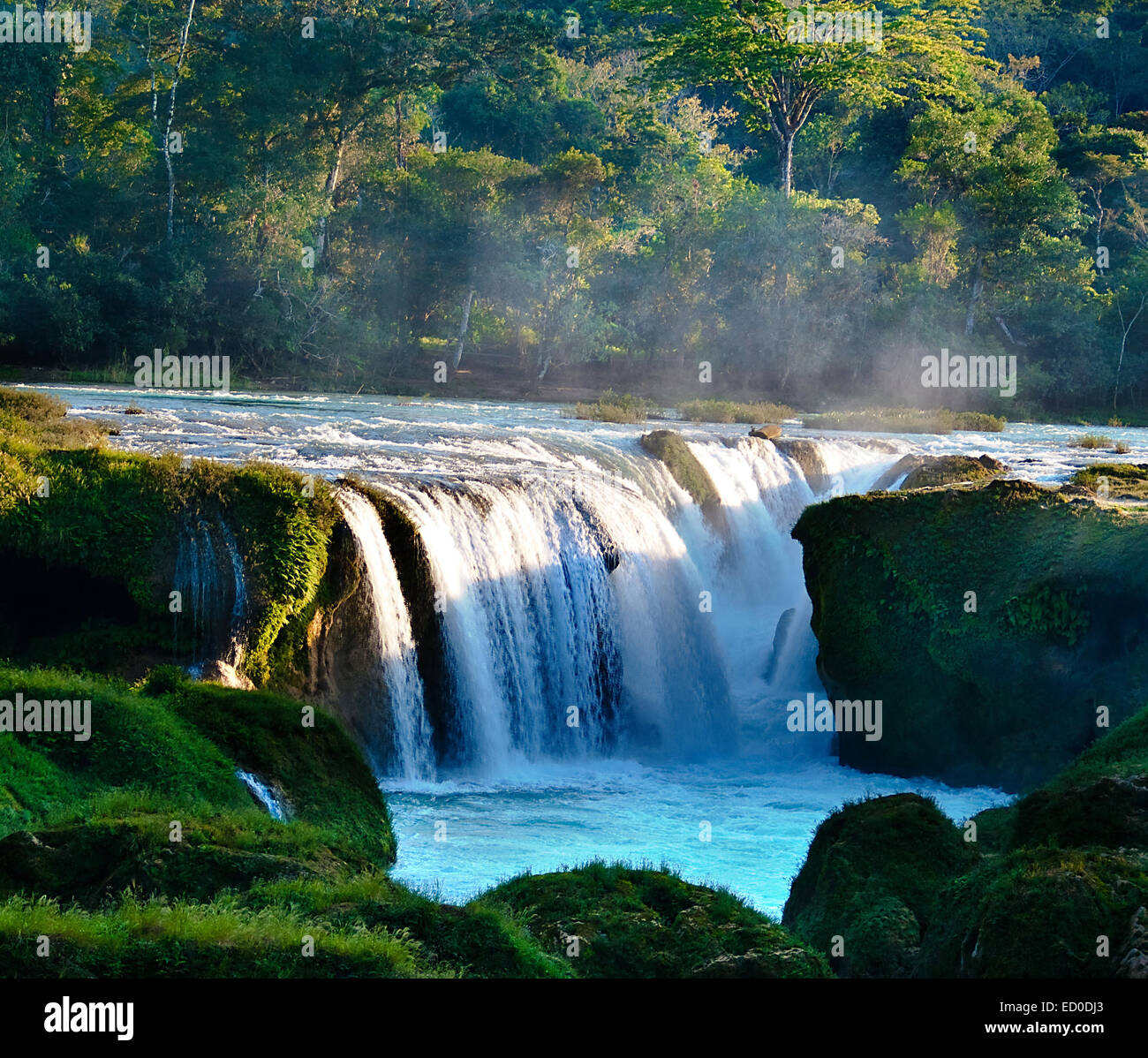 Mexico, Chiapas, Montes Azules Biosphere Reserve, Lacandon Jungle ...