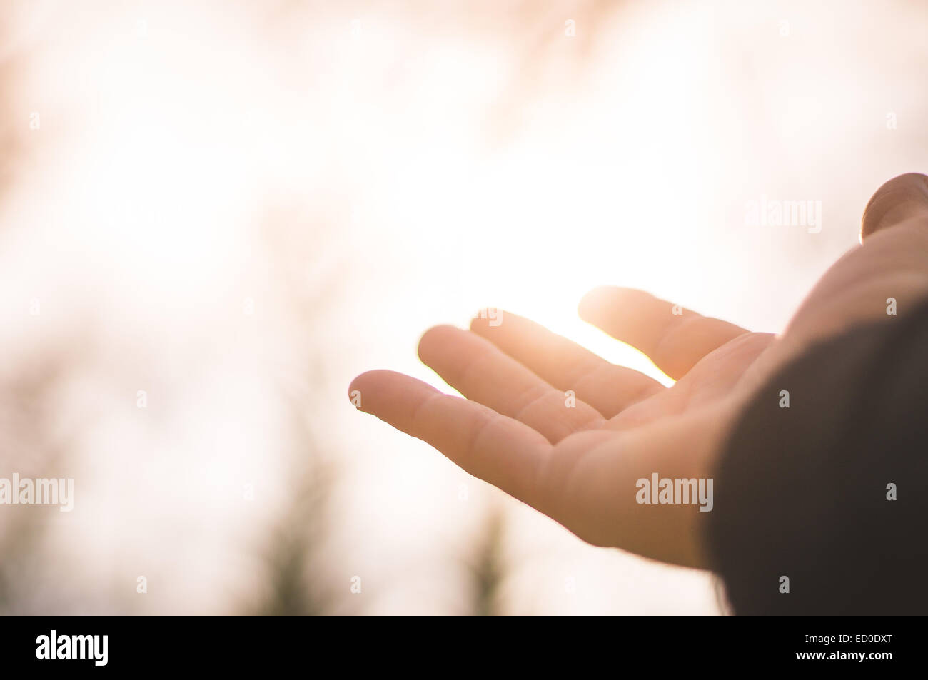 Person hand in front of sunlight Stock Photo - Alamy