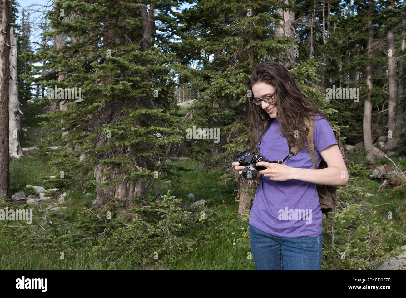 Woman preparing camera in forest Stock Photo - Alamy