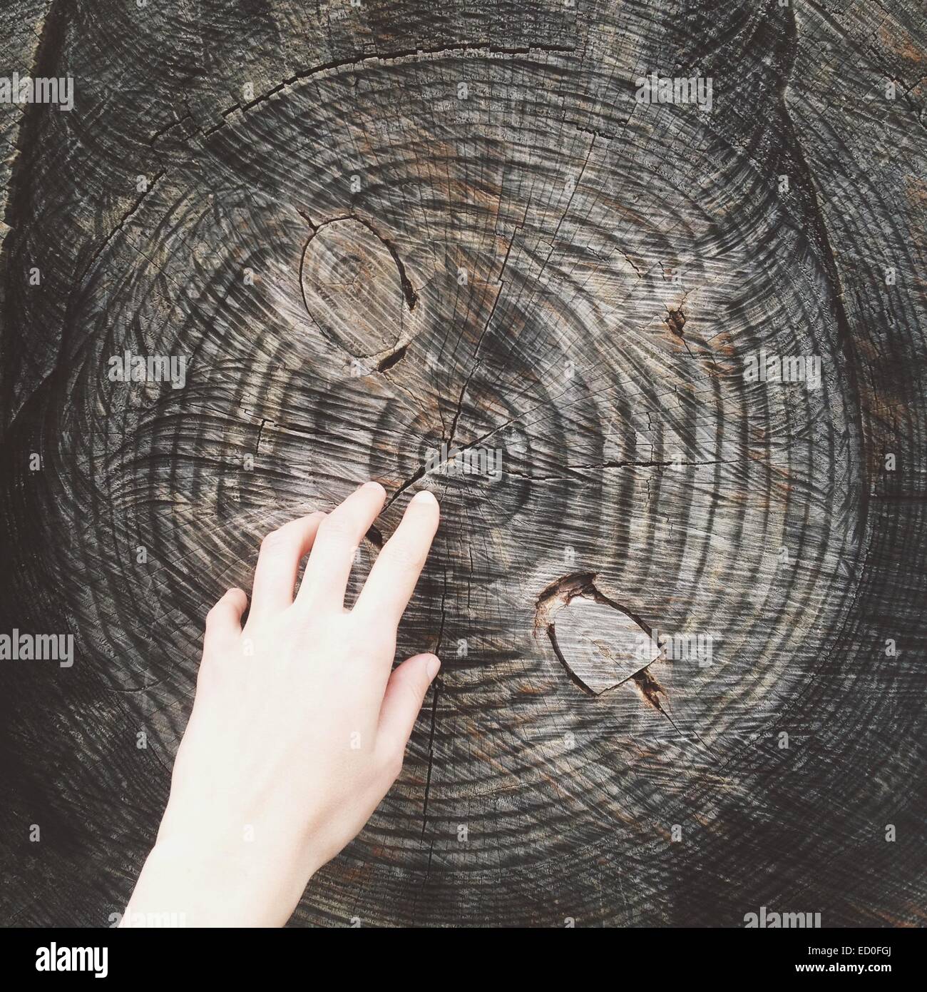 Hand hi-res stock photography and images - Alamy