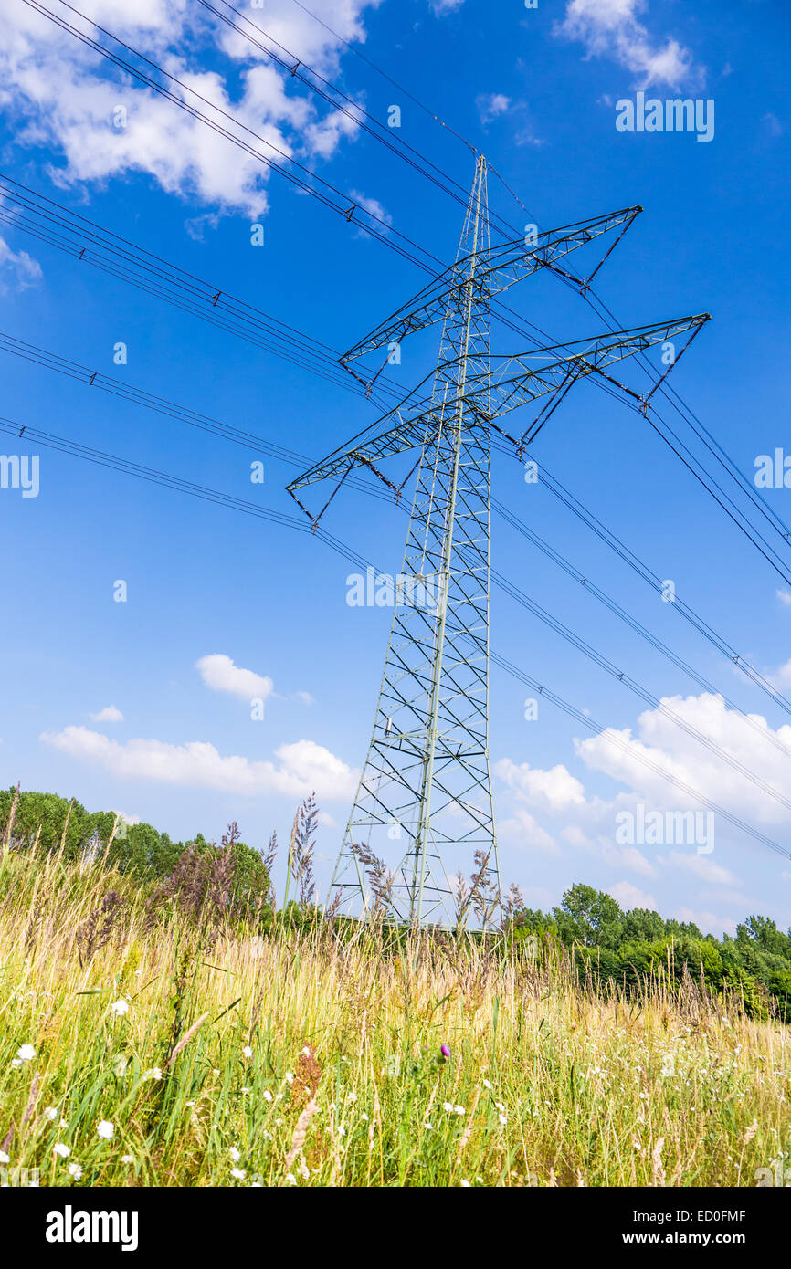 electrical tower in landscape with grasses and flowers and blue sky ...