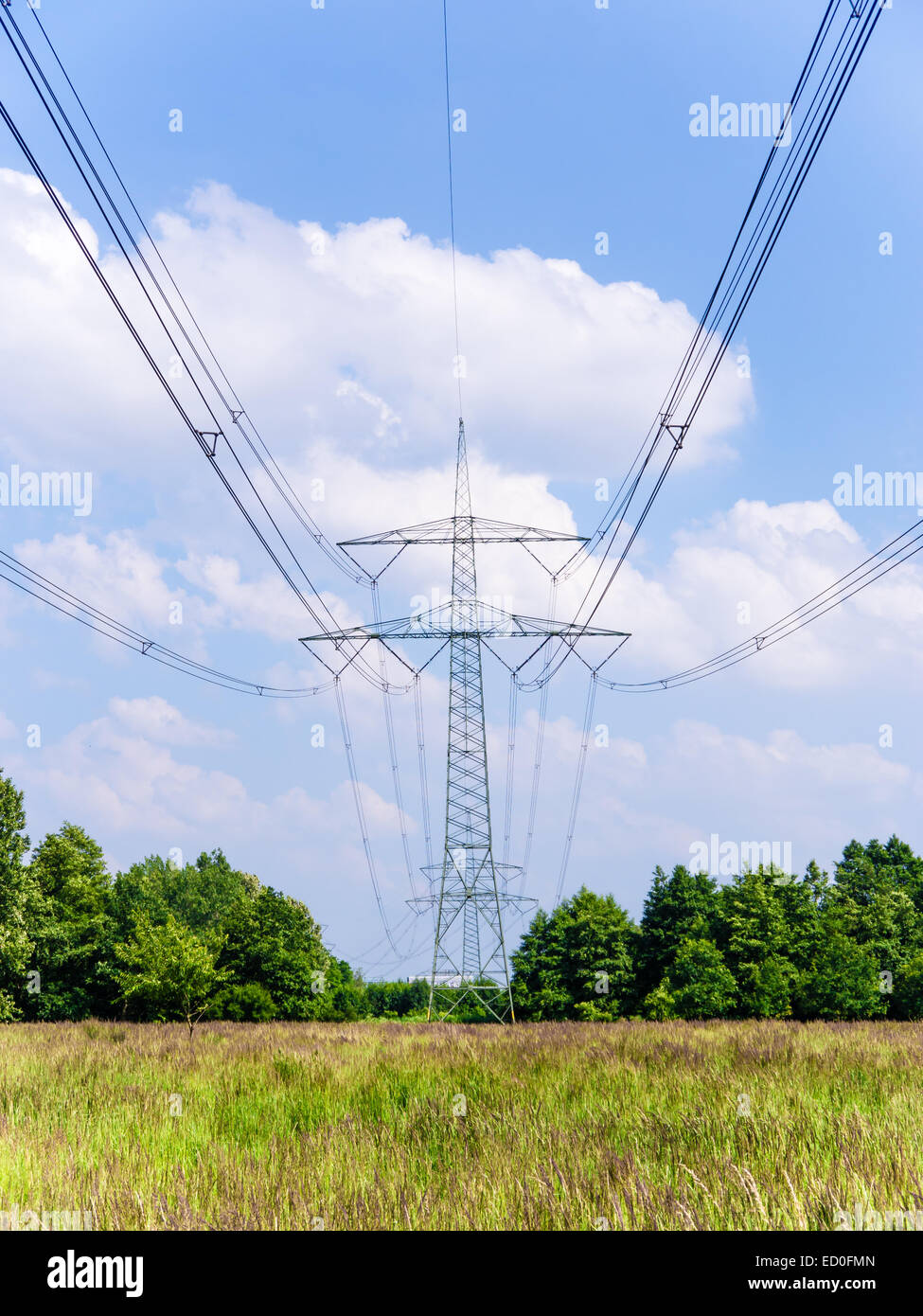 electrical tower in landscape with grasses and trees Stock Photo - Alamy