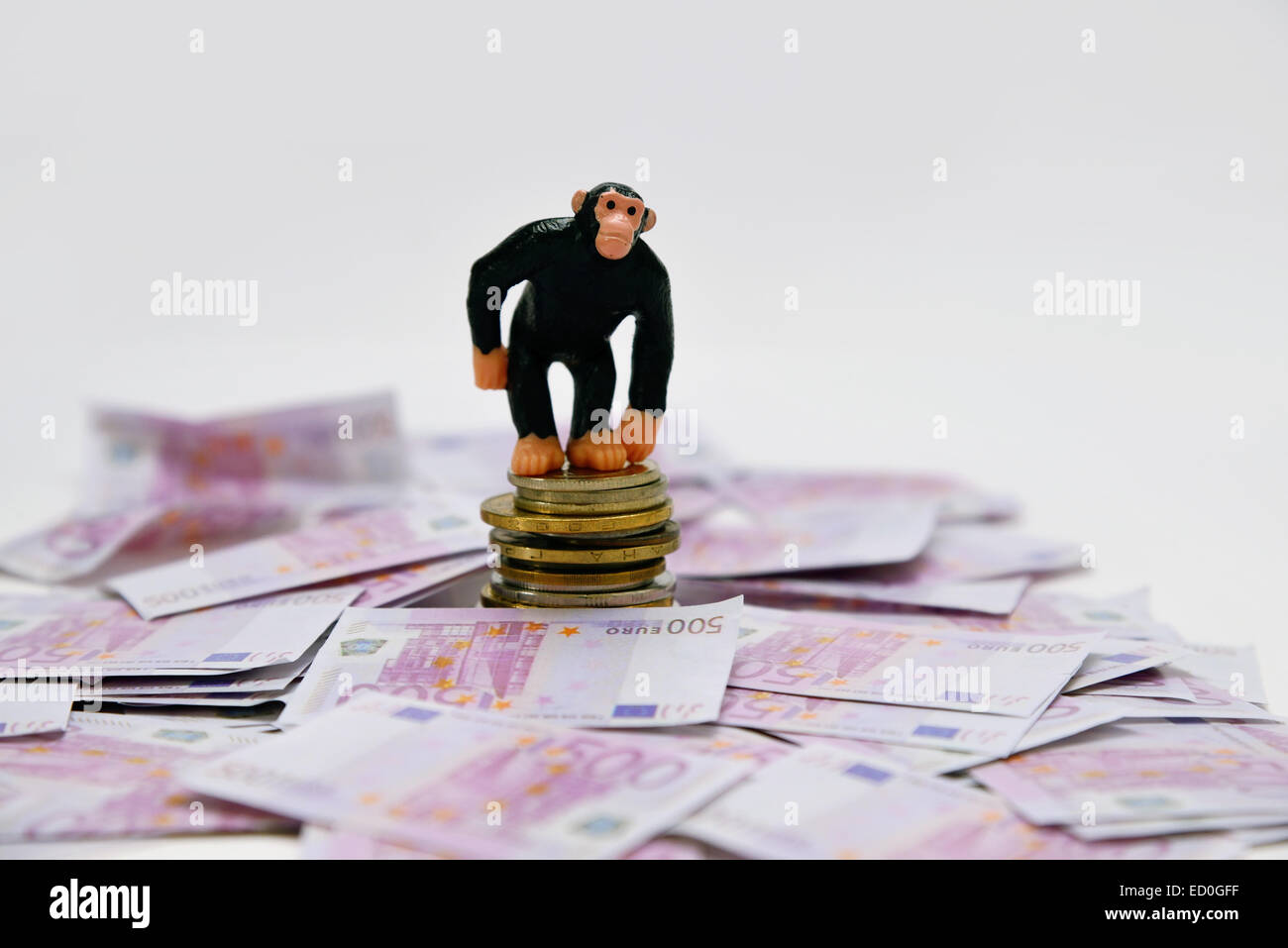 monkey and money Stock Photo - Alamy