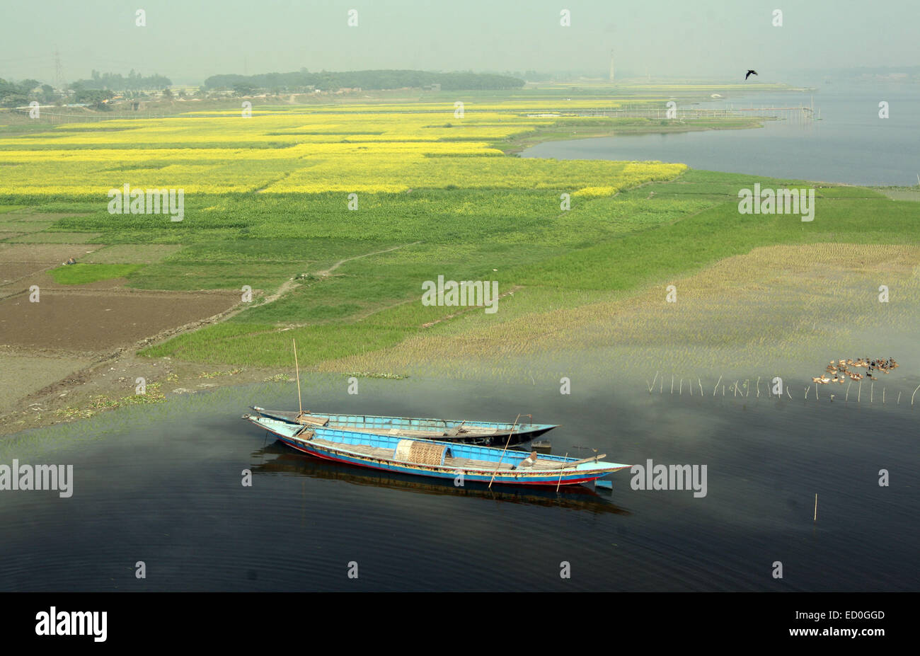 DHAKA 22 December 2014. Landscape Bangladesh Stock Photo - Alamy