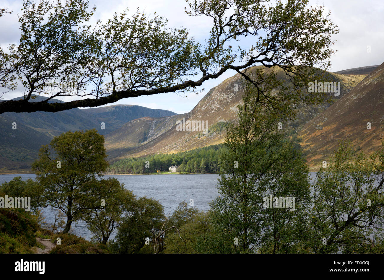 A framed view of Glas allt Shiel on the banks of Loch Muick in the ...