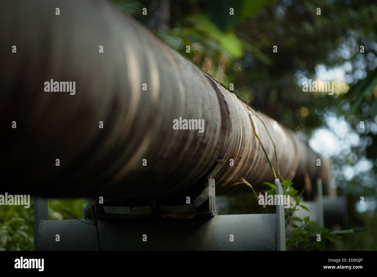 Operation field hi-res stock photography and images - Alamy