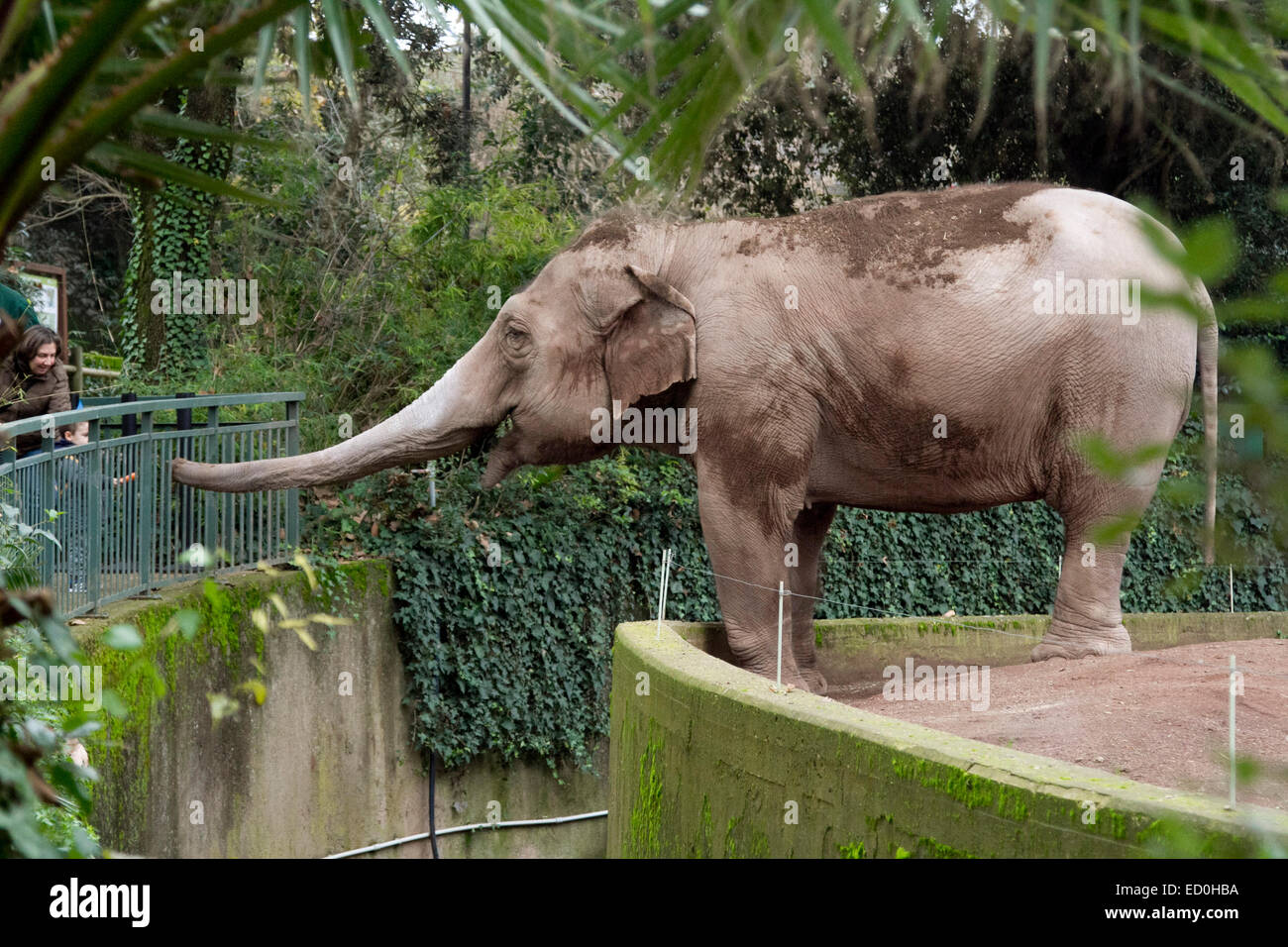 Zoos In Rome Bioparco di Roma – Zoo a Roma – Rome Information