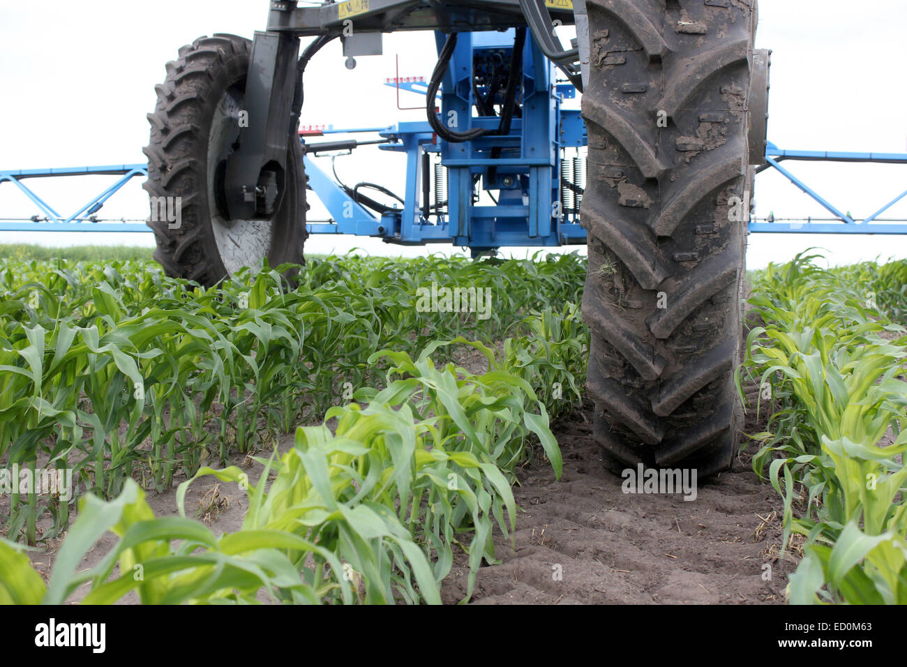 Soil compaction agriculture hi-res stock photography and images - Alamy
