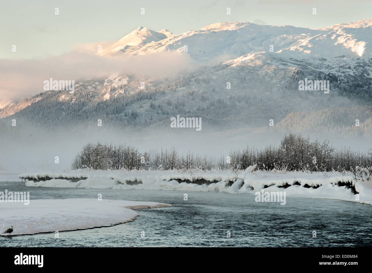 Alaska mountains lake valley hi-res stock photography and images - Alamy