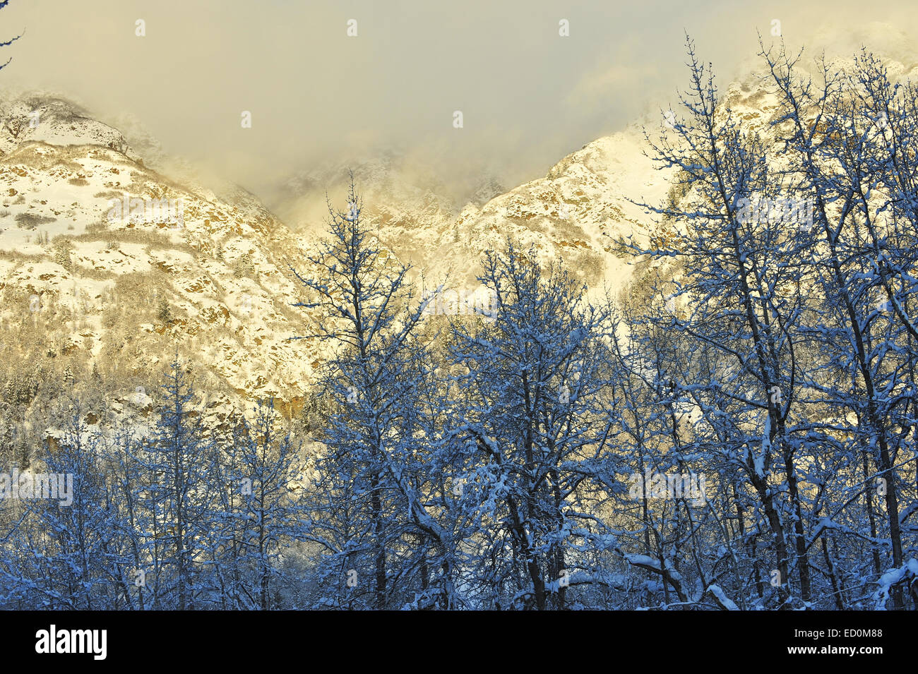 The Chilkat Valley under a covering of snow, with mountains behind ...