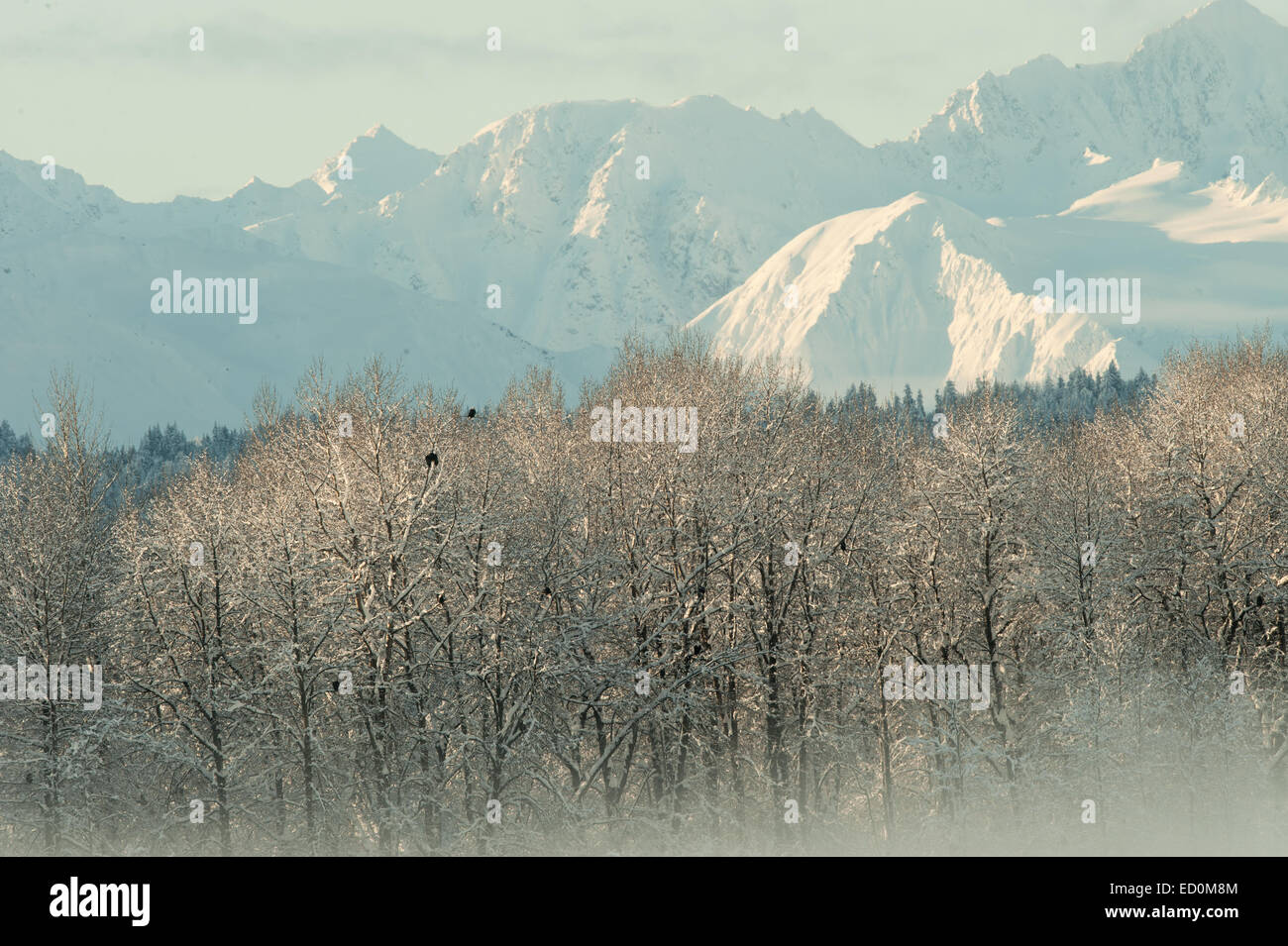 The Chilkat Valley under a covering of snow, with mountains behind ...