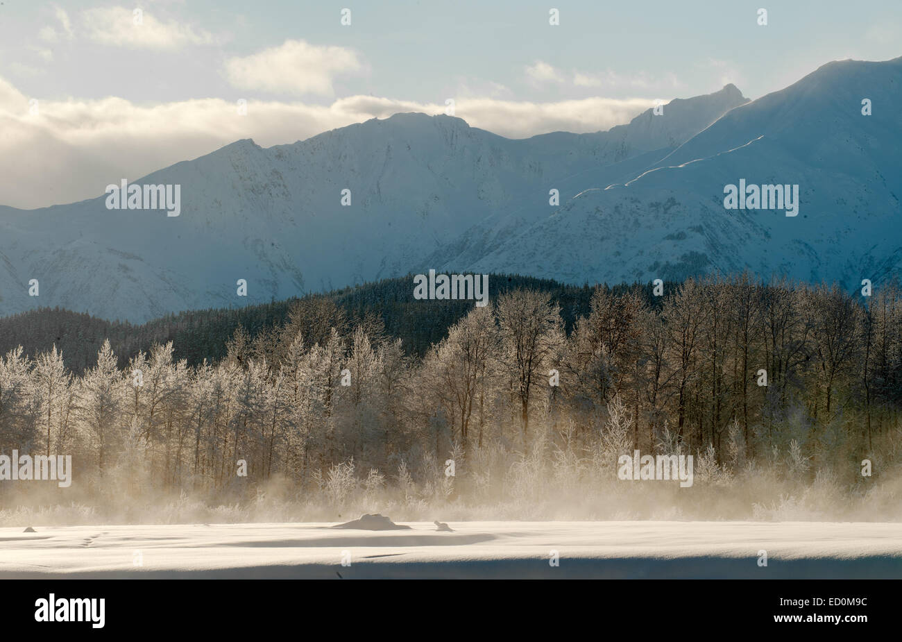 The Chilkat Valley under a covering of snow, with mountains behind ...