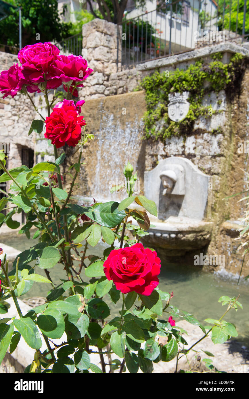 Fountain With Red Roses High Resolution Stock Photography and Images ...