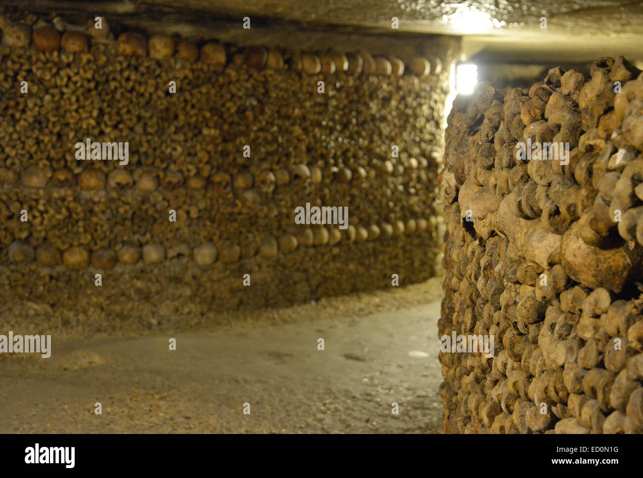 Millions of skulls and bones line the tunnels of the Paris Catacombs ...