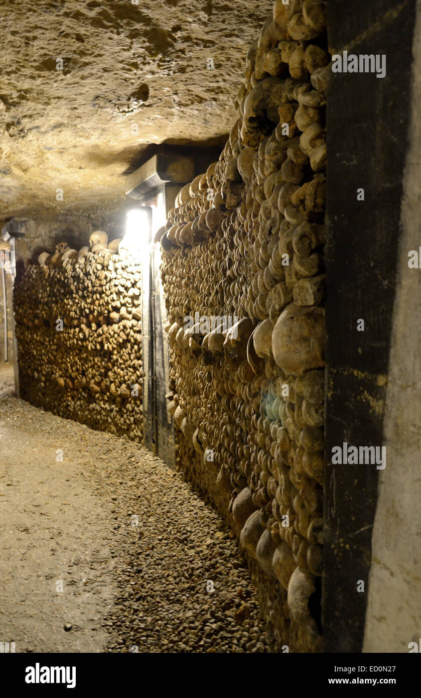 Bones paris hi-res stock photography and images - Alamy