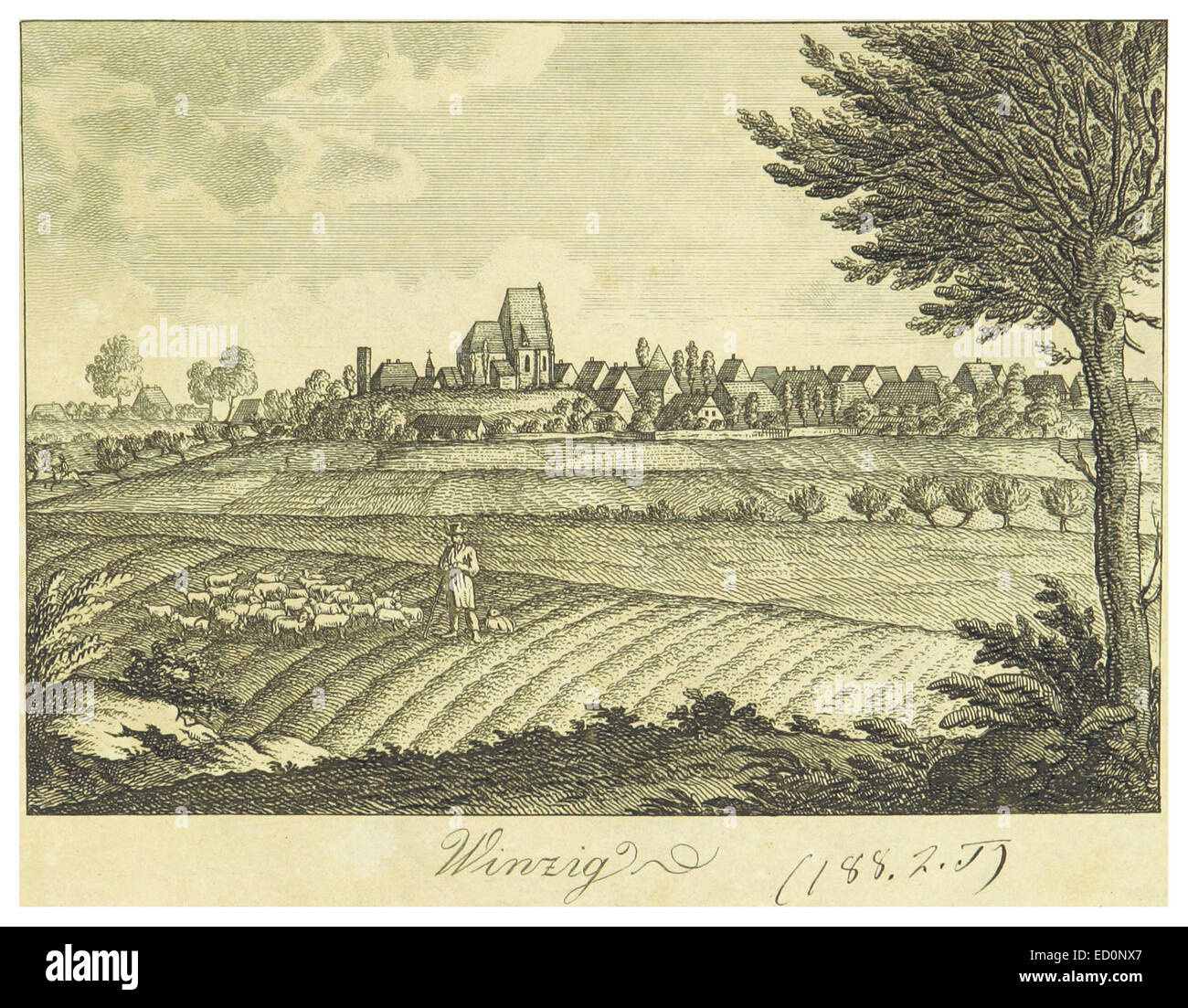 Winzig hi-res stock photography and images - Alamy