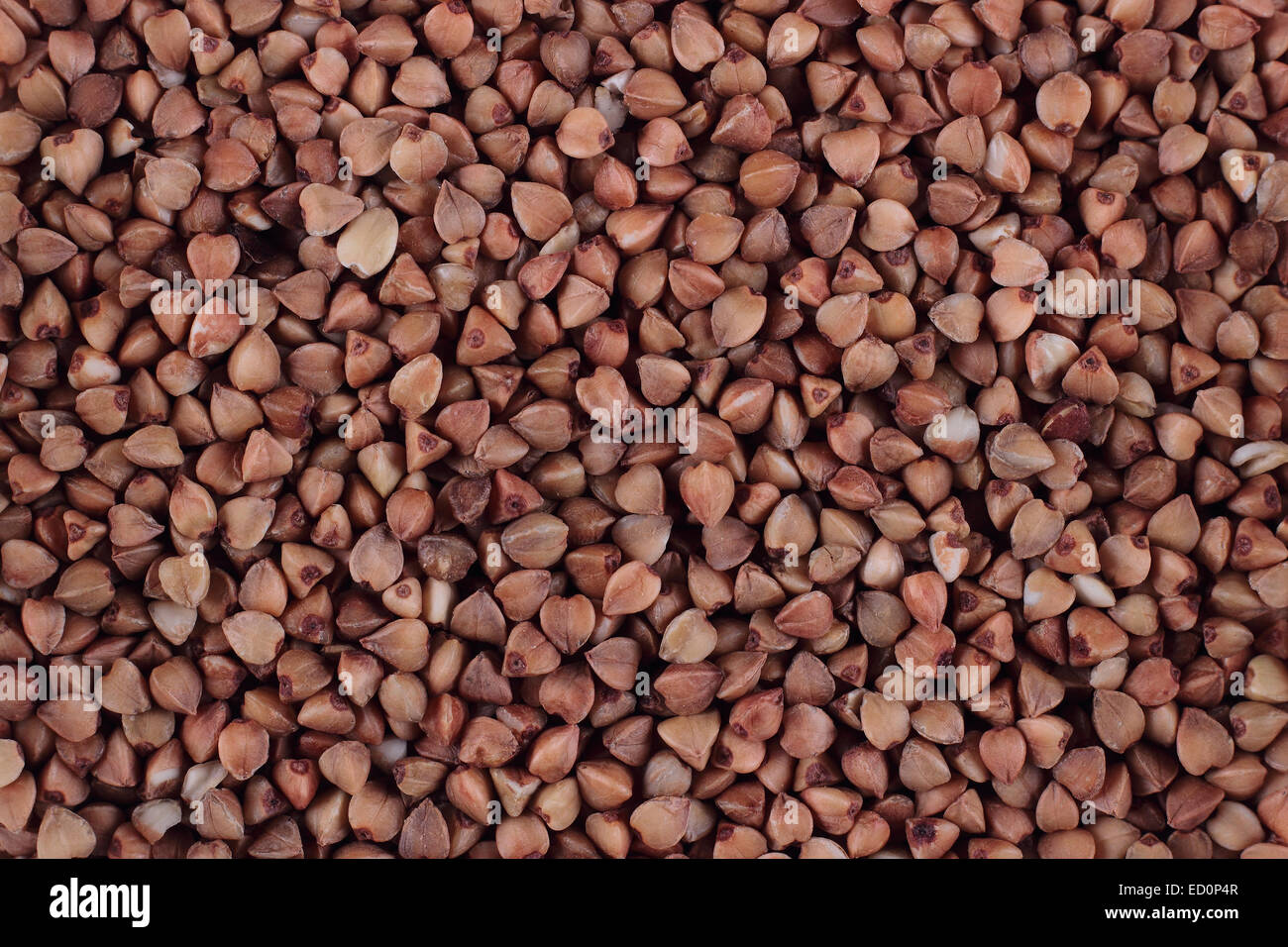 Texture of buckwheat with the bound pattern Stock Photo - Alamy