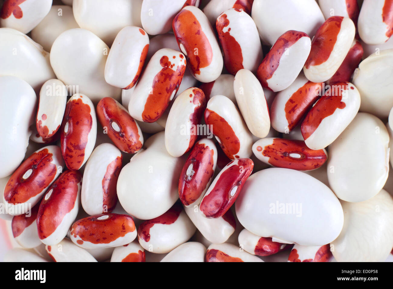 Haricot nutrition hi-res stock photography and images - Alamy