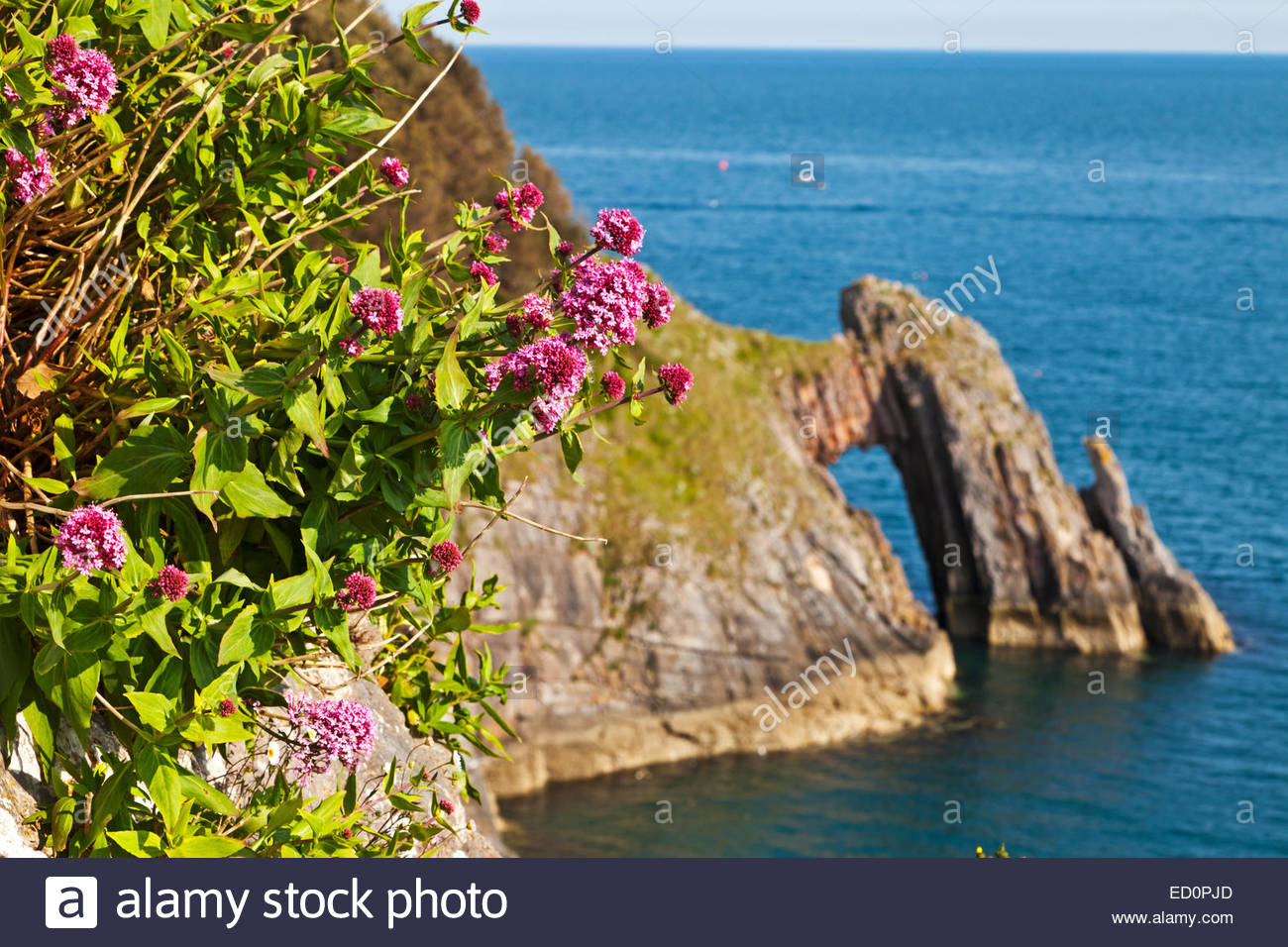 Torquay Cliff Stock Photos & Torquay Cliff Stock Images - Alamy