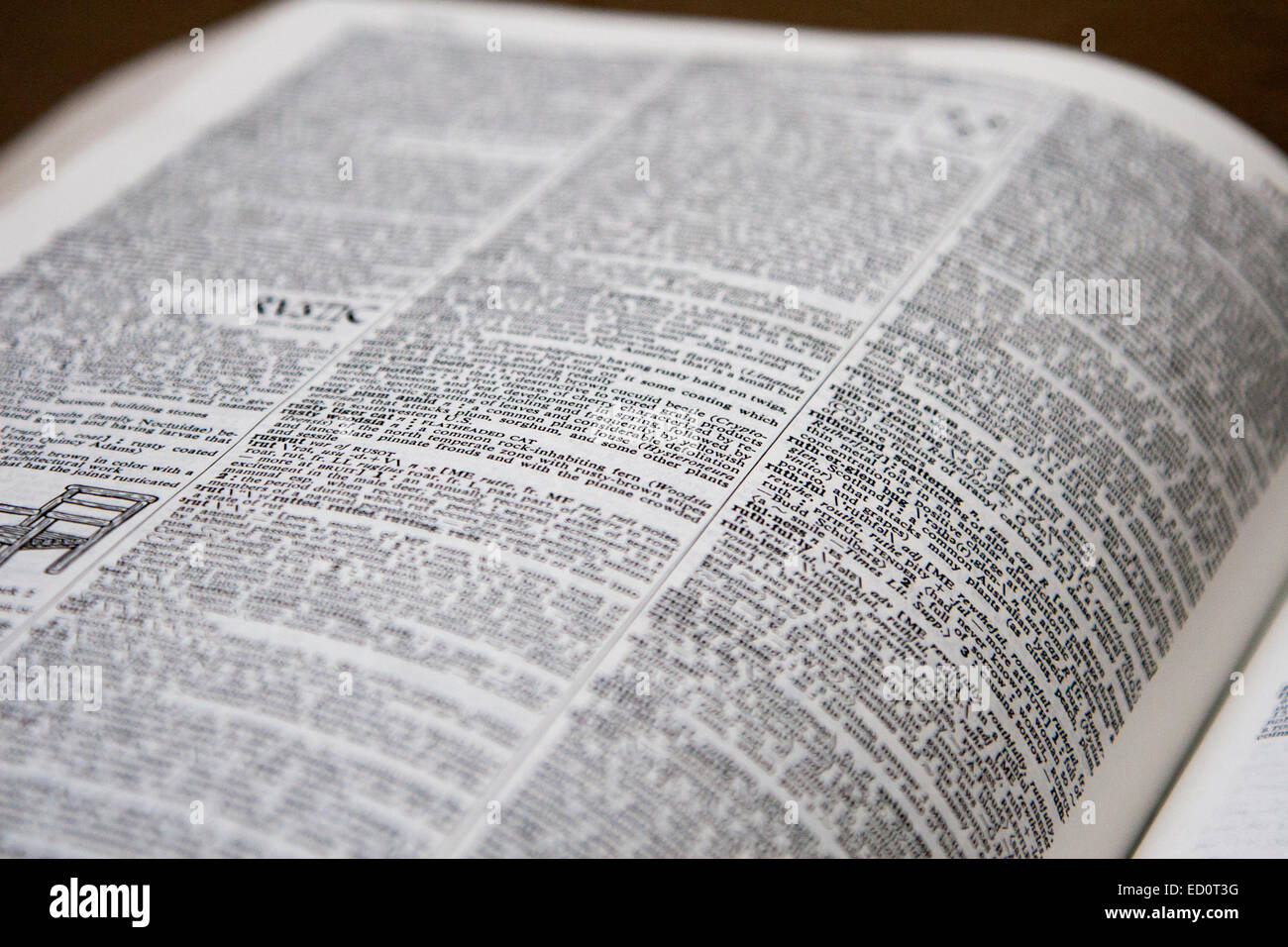 Dictionary open to r hi-res stock photography and images - Alamy