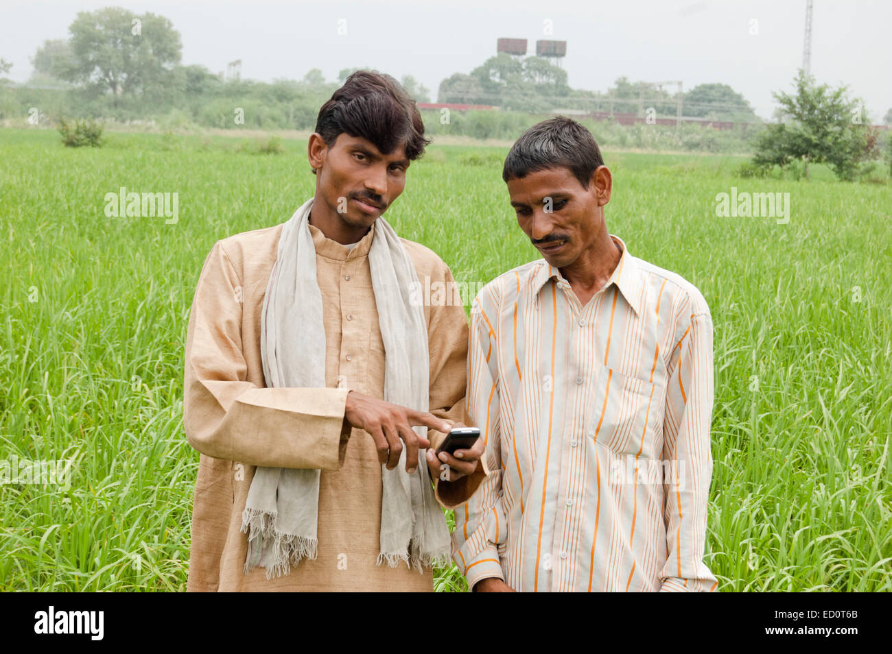 Man planting rice hi-res stock photography and images - Alamy