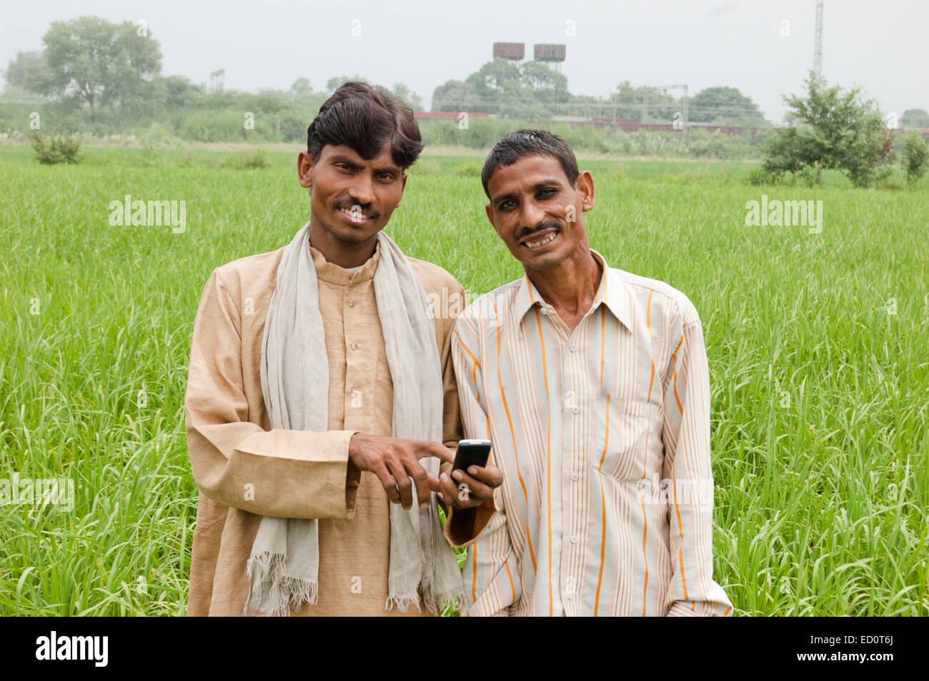 Indian men harvesting plants hi-res stock photography and images - Alamy