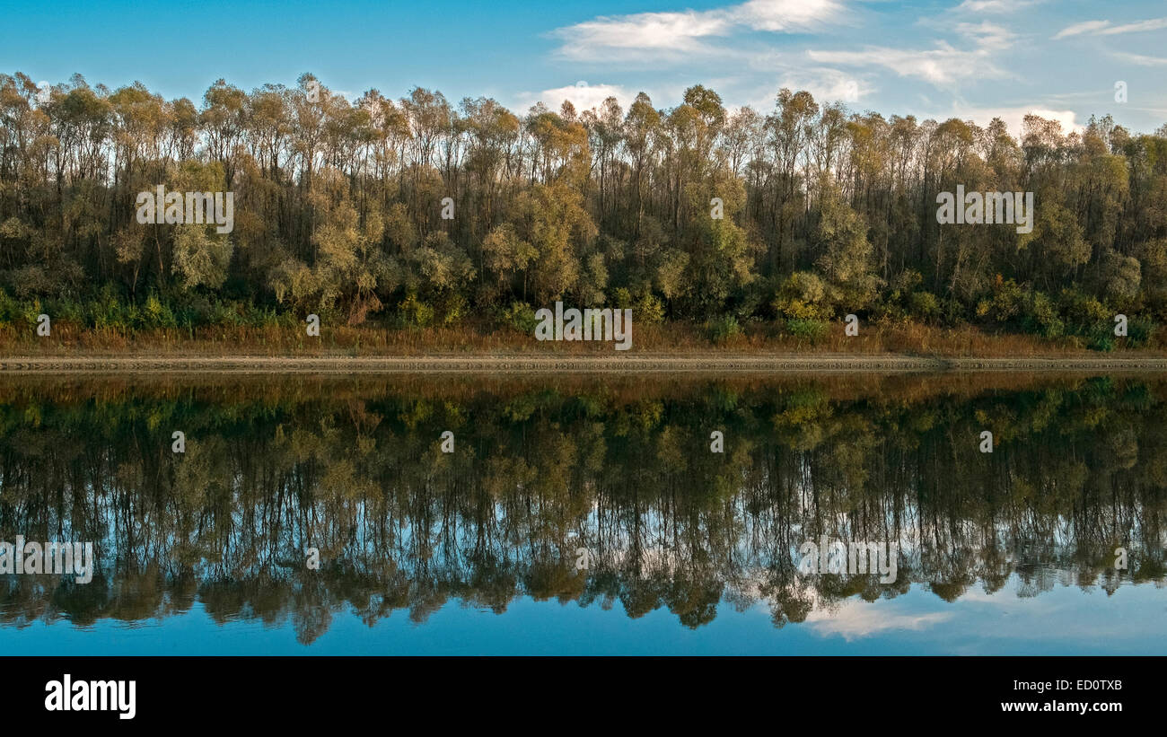 Clear reflection trees hi-res stock photography and images - Alamy