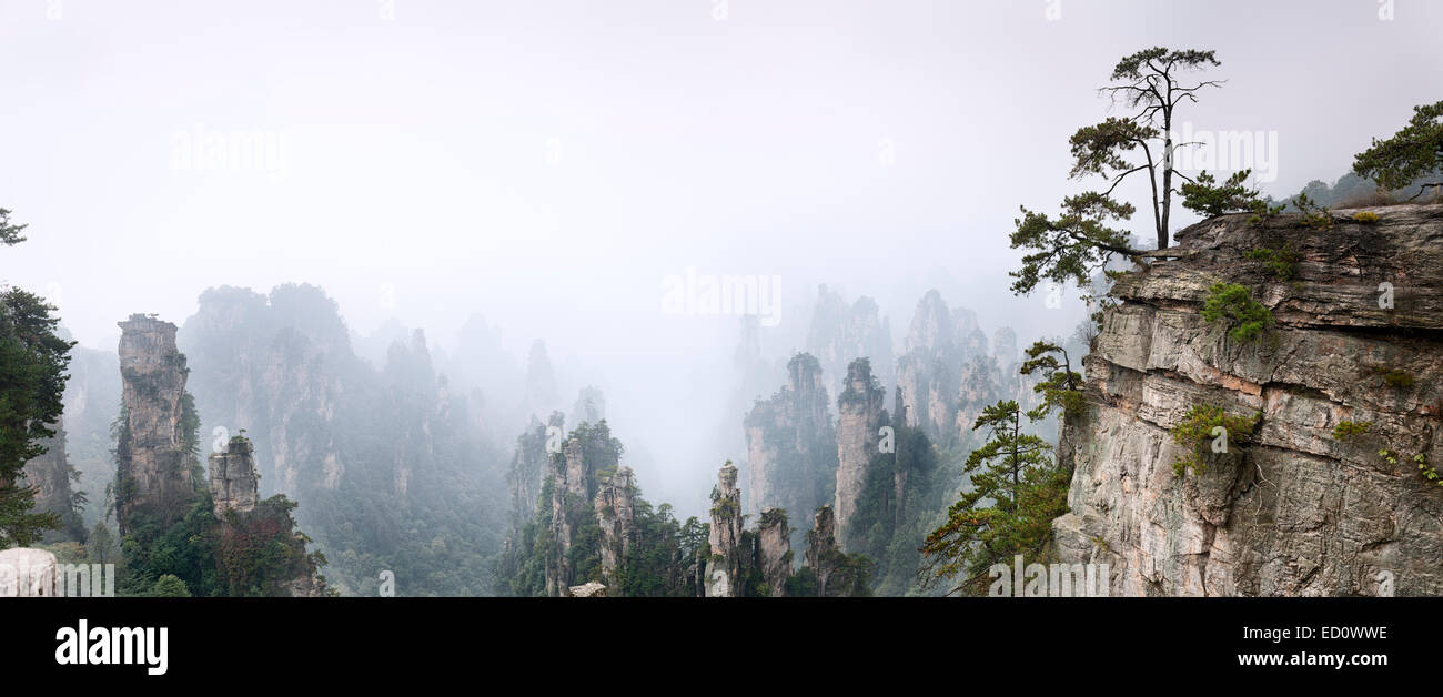 Zhangjiajie china park hi-res stock photography and images - Alamy