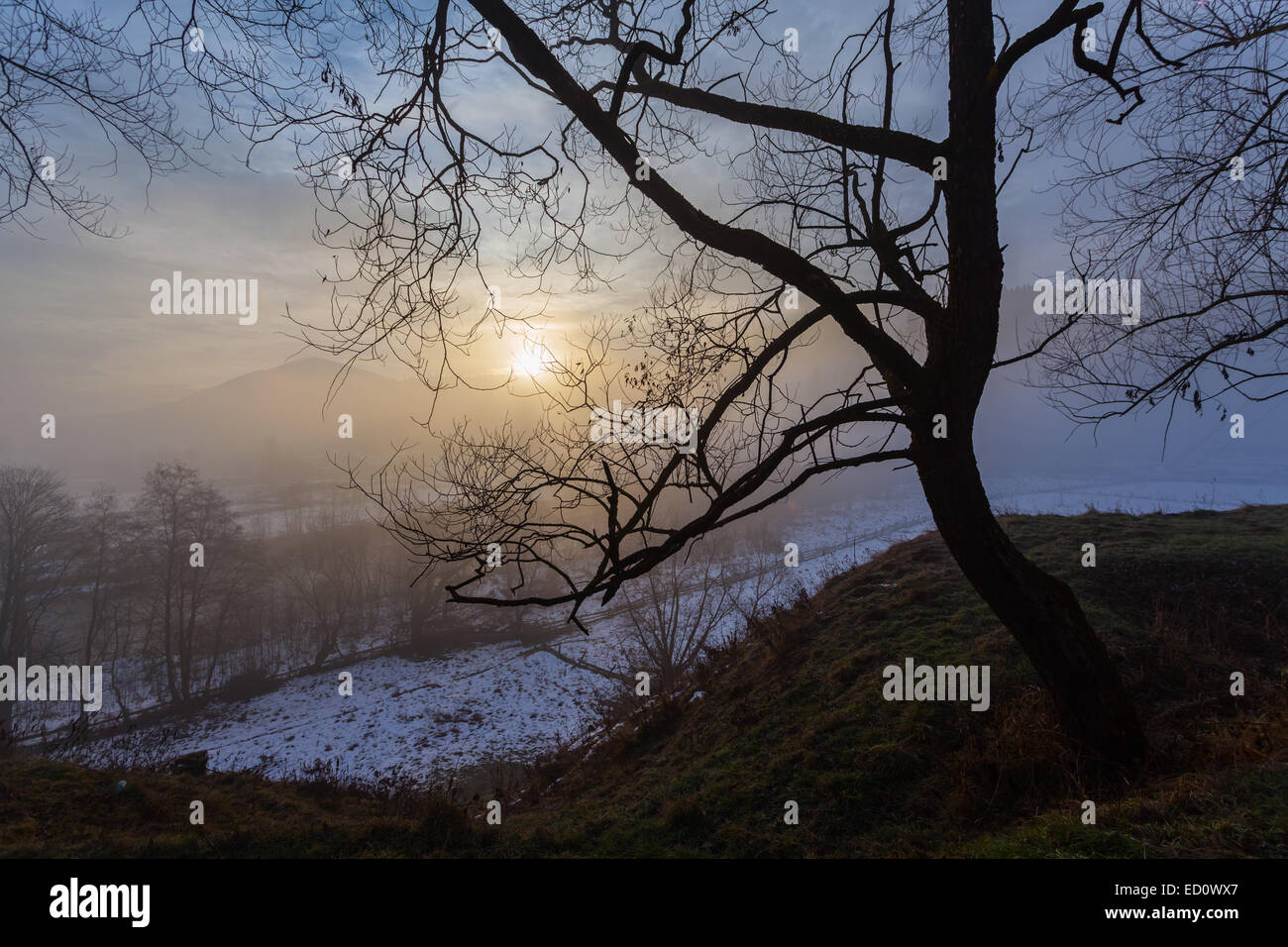 Dramatic Winter Landscape. mountains. fog. the park Stock Photo - Alamy
