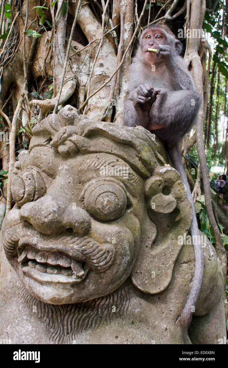 Monkeys having fun on stone statues of Hindu Holy Monkey Forest. Ubud ...
