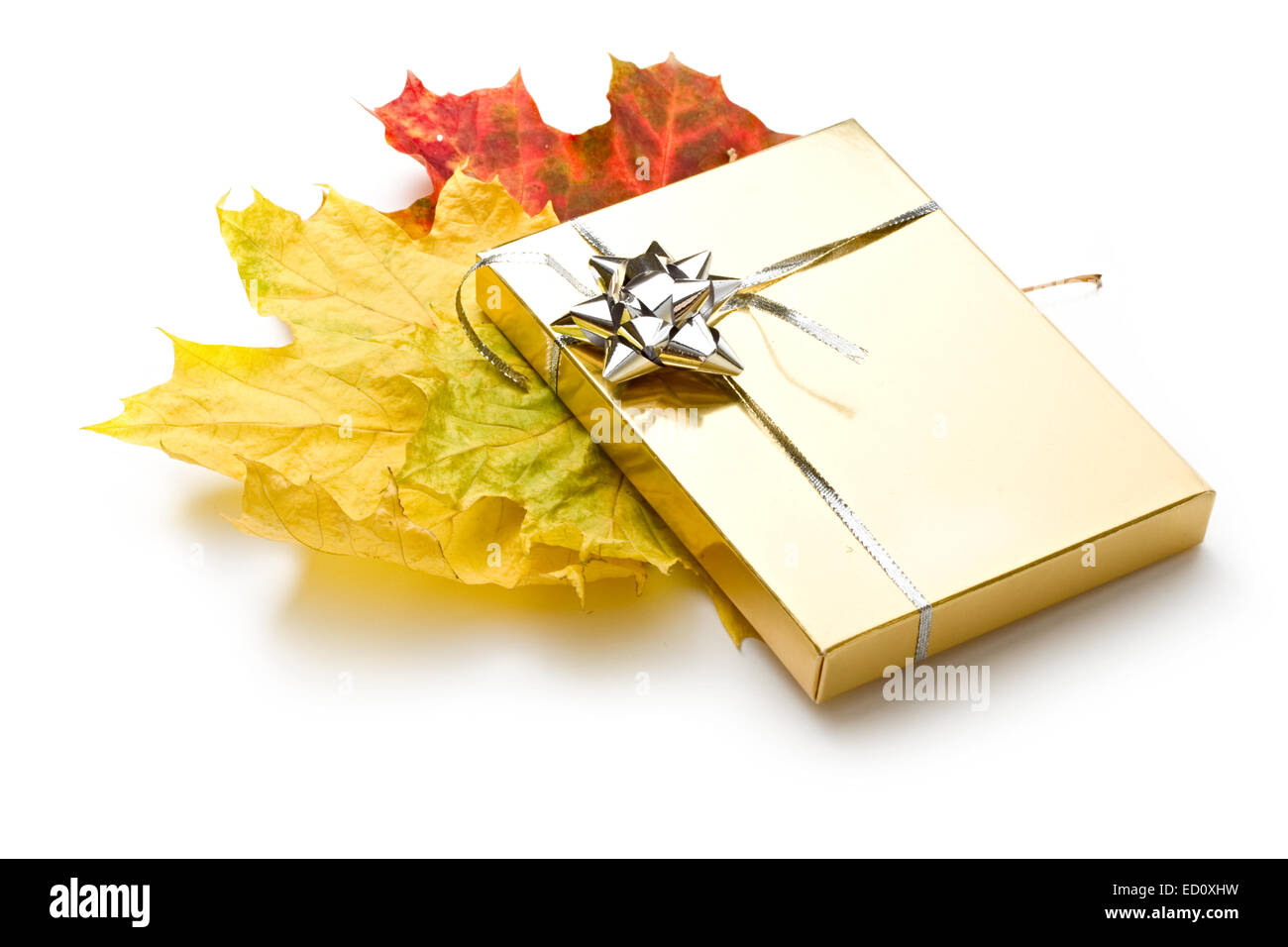 Gift on leaves isolated on the white background Stock Photo - Alamy