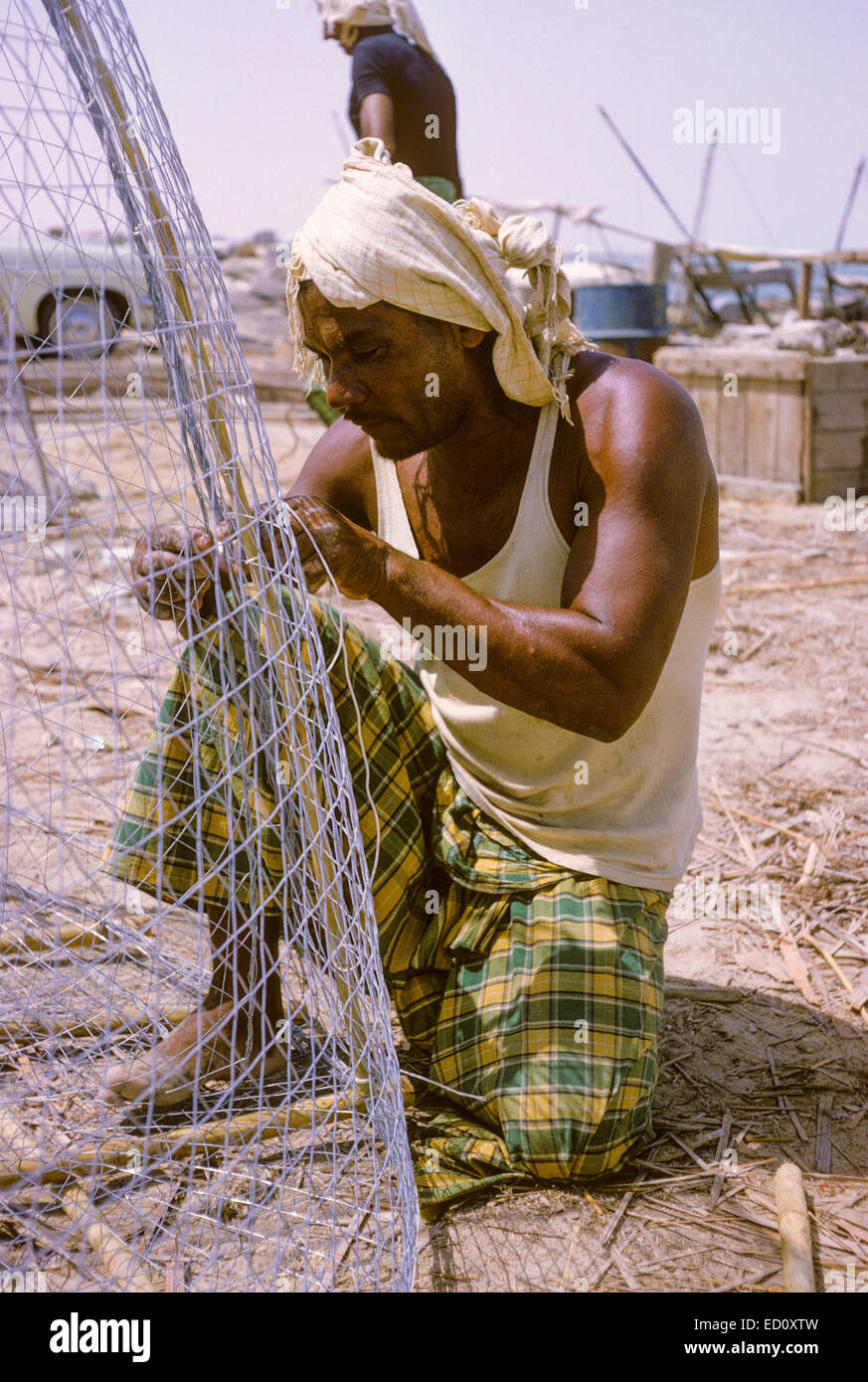 Kuwait October 1966. Kuwaiti Fisherman Mending Fish Traps at Sief Stock ...